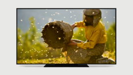 Ταινίες online | Cinobo | Streaming πλατφόρμα ανεξάρτητου σινεμά